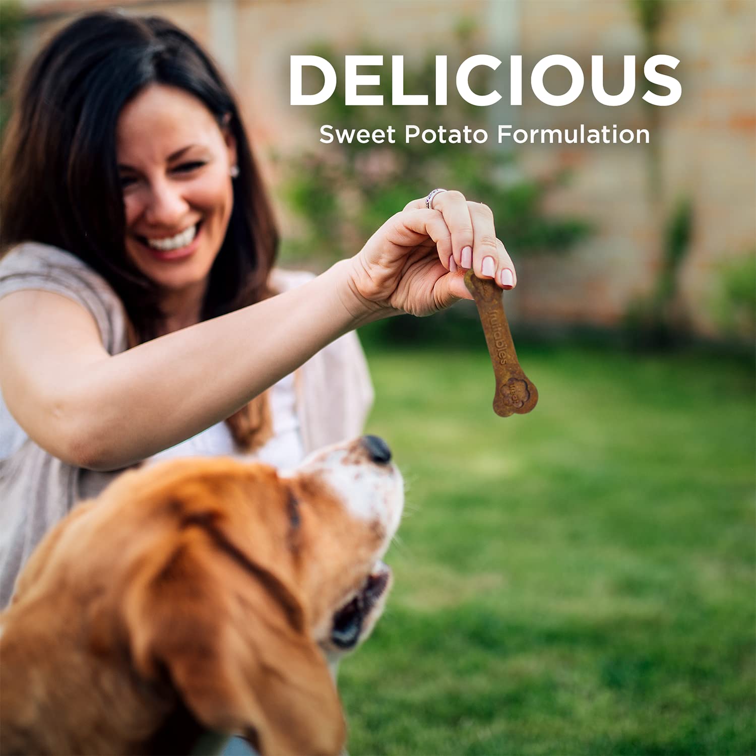 Fruitables Bioactive Dental Chews | Gluten and Grain-free Dental Treat | Superfood Formulated | Medium Dogs | 10 count