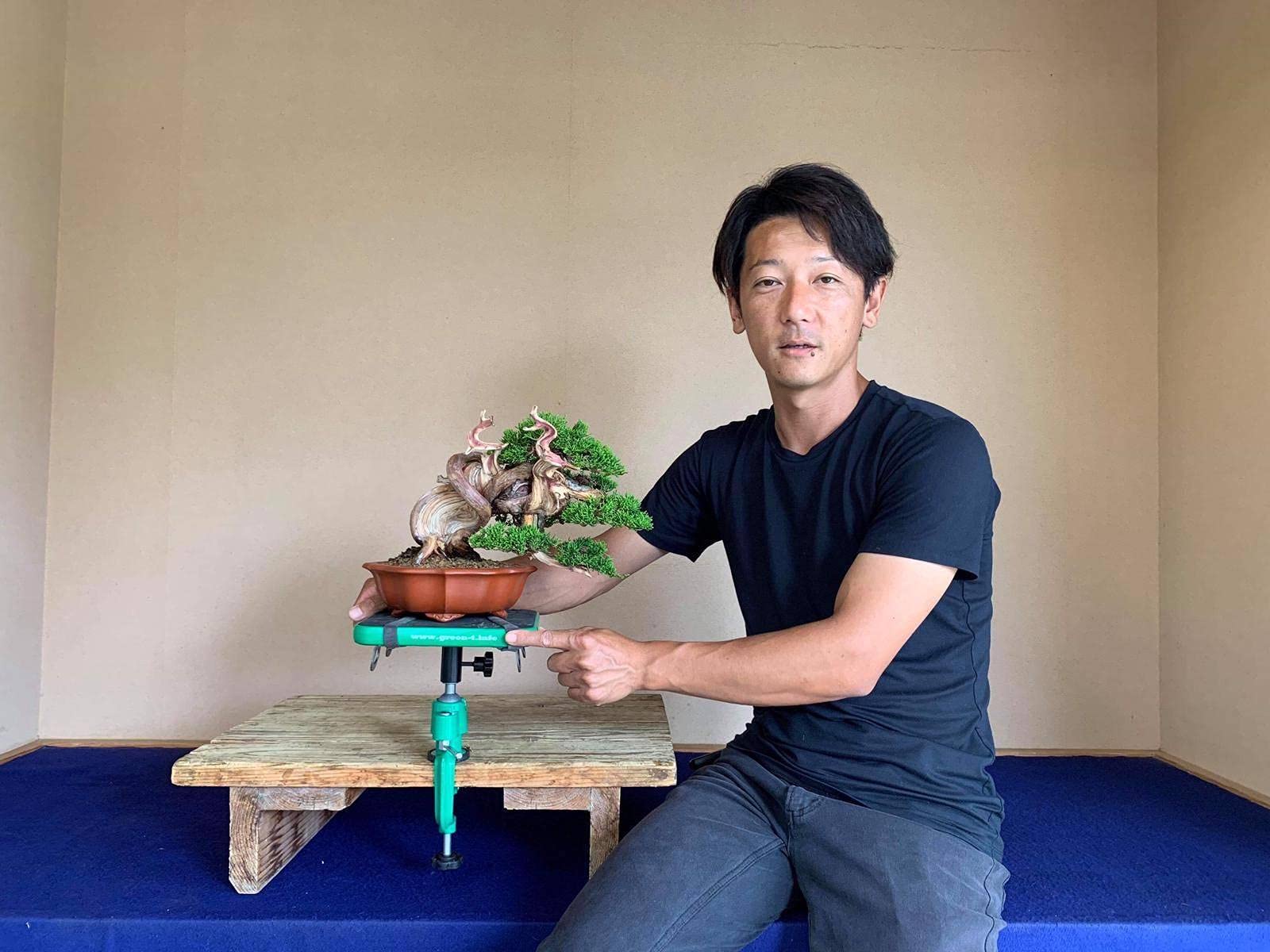 Pollice Verde Green T Mini V - Professional Bonsai Shoin Turntable with clamp