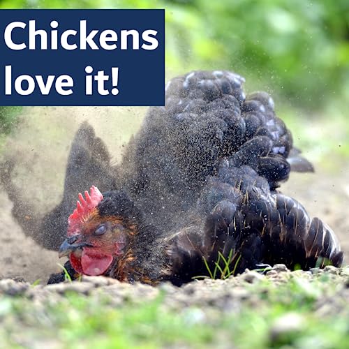 Chickie Whiz Dust Bath 5.5lb, Chicken Dust Bath, Dust Bath for Chickens for Healthy Chicken, Poultry Dust, Chicken Bath, Dust for Chickens, Chicken Coop Accessories, by Billy Buckskin Co.