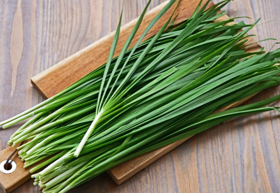 Chinese Leek Seeds for Planting(500 Seeds)
