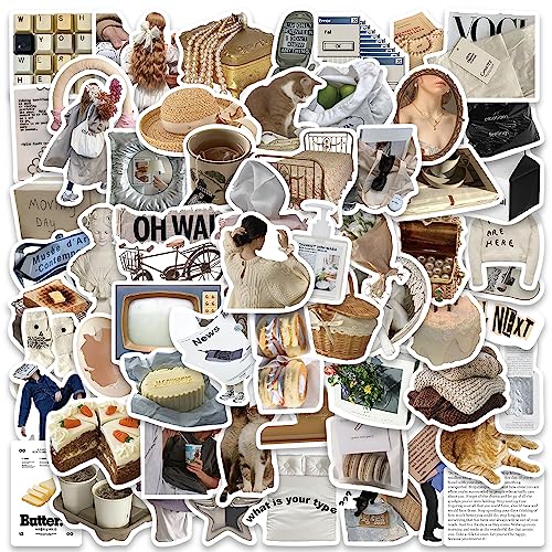 INS Aesthetic Stickers for Water Bottle, Waterproof Scrapbook INS Stickers, 63PCS Vinyl Stickers for Laptop Phone Skateboard Bumper Decals, Personalized Stickers Pack for Kids Teens Girls (INS)