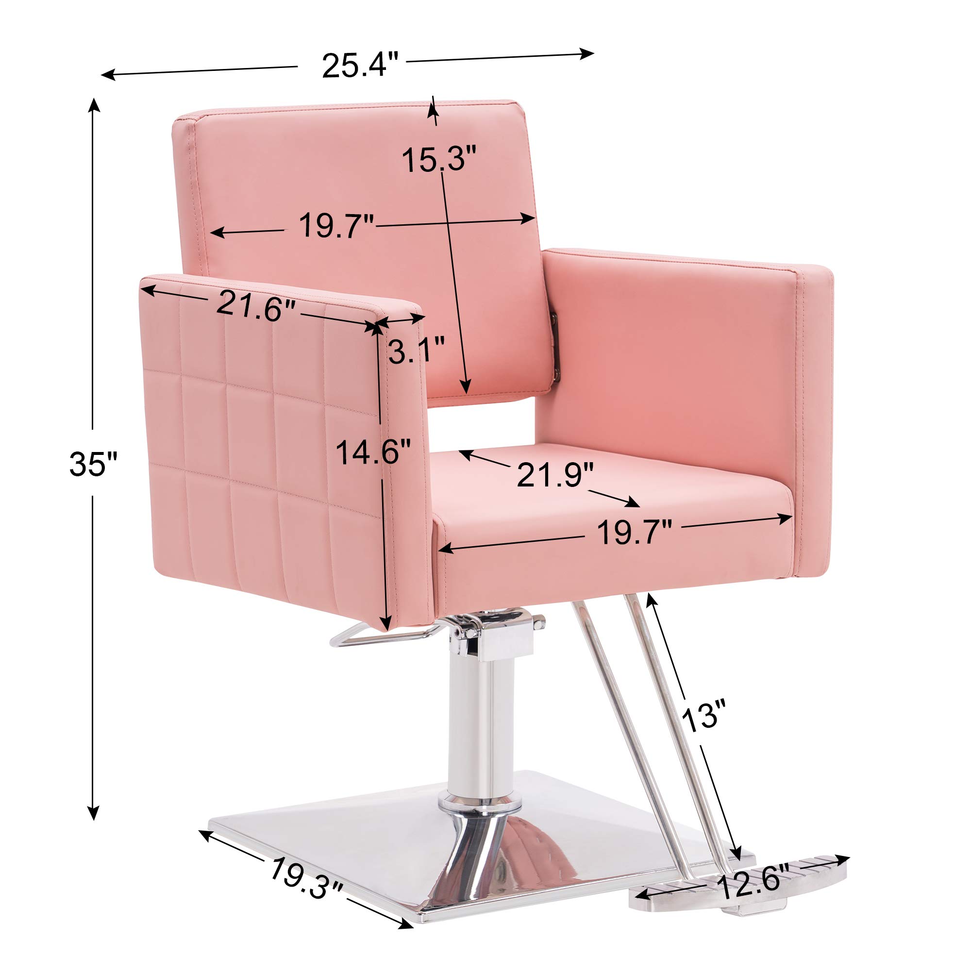 BarberPub Salon Chair for Hair Stylist,Hydraulic Barber Styling Chair, Beauty Spa Equipment 8821 (Pink)