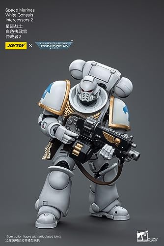 JoyToy Warhammer 40K: Space Marines White Consuls Intercessors 2 1:18 Scale Action Figure