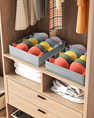 DIMJ 2 Pack Bra Drawer Organizers, 5 Cells Underwear Organizer Drawer Bra with Divider Zip Storage Cabinet Organizer Fabric Box for Bra, Socks, Ties, Belts (Grey)