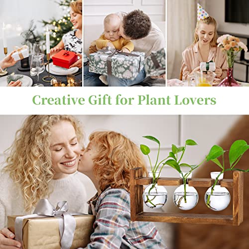 Glasseam Propagation Stations Plant Terrarium, Glass Bud Bulb Vase with Wooden Stand Propagate Station Propogation Jars Desktop Hydroponic Planter Air Plants Containers Tabletop for Indoor Flower