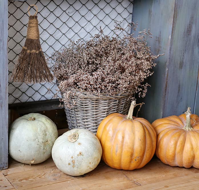 Cinnamon Broom 6" - Cinnamon Broomstick Scented 3 Pack -Mini Broom - Witches Broom Decor for Halloween - Cinnamon Broomstick - Mini Broomstick