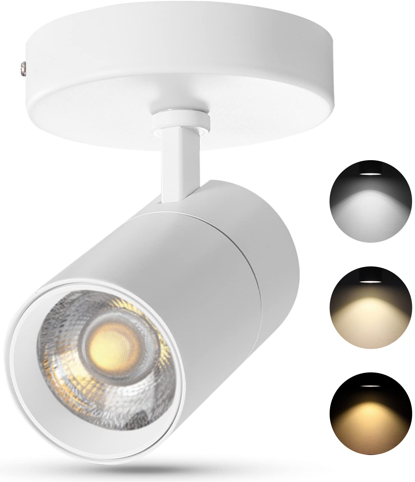 VANoopee 12W Low Voltage Landscape Lights 12V Outdoor Landscape Lighting LED Spot Lights Outdoor Waterproof with Stake Uplight Tree Yard Flag Garden Patio Warm White 1000lm(10 Pack with Connectors)