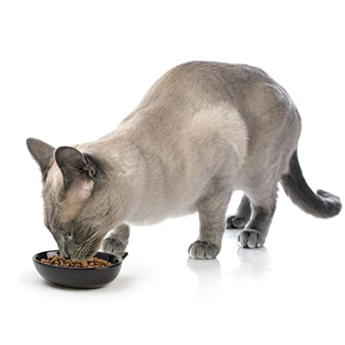 PetRageous 10011 Oval Frisky Kitty Stoneware Cat Bowl 5.5-Inch Wide and 1.5-Inch Tall Saucer with 5.3-Ounce Capacity and Dishwasher Safe is Great for Cats, Black