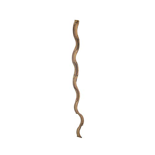 Prevue Pet Products BPV62399 Wacky Wood Lima Root Bird Perch Toy, 36-Inch, Brown