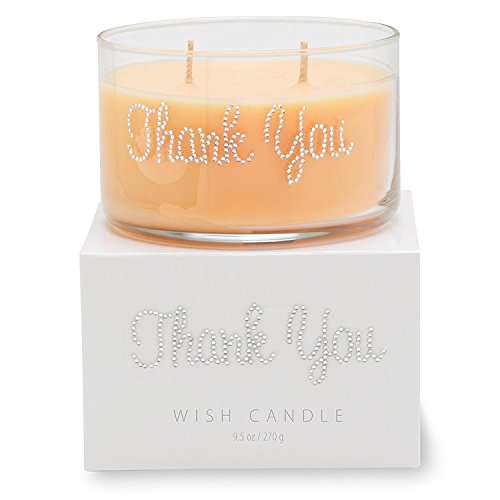 Primal Elements Thank You Wish Candle, 9.5 Ounce (Pack of 1)