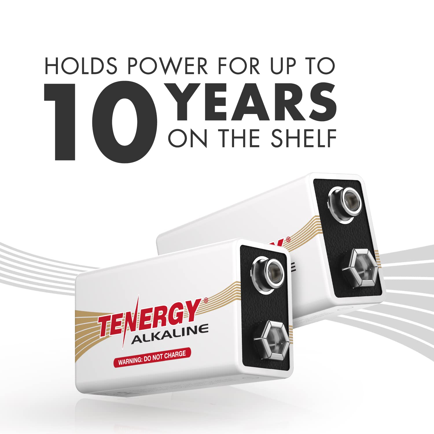 Tenergy 6LR61 9V Alkaline Battery, Non-Rechargeable Battery for Smoke Alarms, Guitar Pickups, Microphones and More, 12 Pack