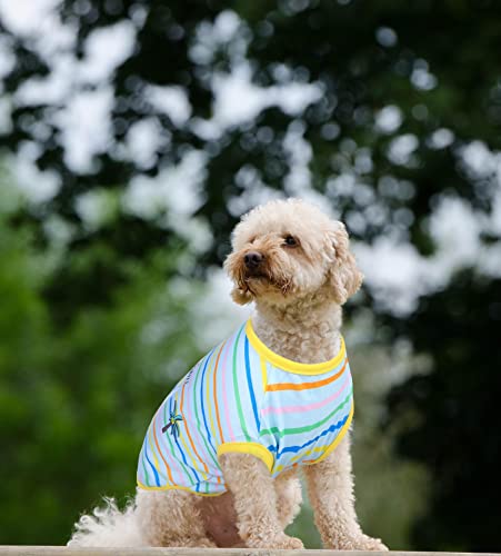 Phiyolin 2-Pack Dog Shirts Striped Stretch Dog T-Shirts for Small and Medium Dogs,Quick Dry Breathable Pet Clothes(M,Blue)