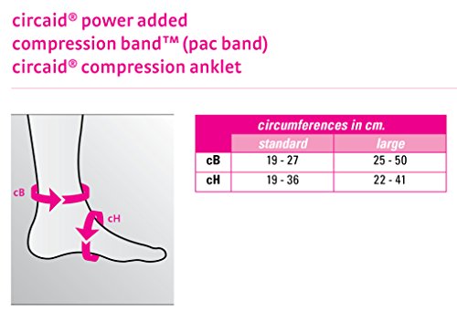 circaid PAC Band for Targeted Compression, Large