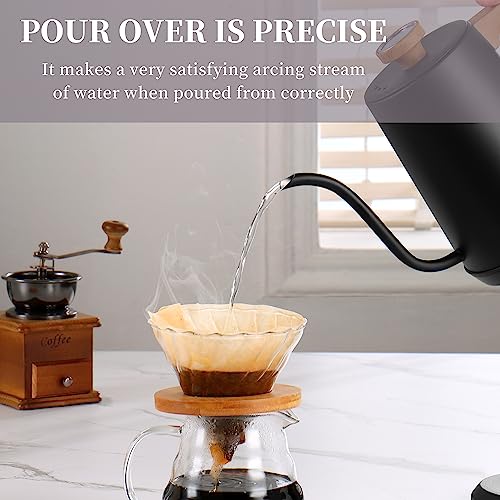 Nueve&Five Gooseneck Electric Kettle with Thermometer, Black Electric Kettle 1L with Auto Shut-Off,1000W Hot Water Kettle of Stainless Steel, Pour Over Kettle for Coffee & Tea