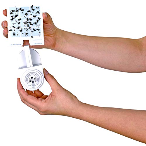 DynaTrap DT3005W DOT Indoor Plug-In Fly Trap for Flies, Fruit Flies, Moths, Gnats, & Other Flying Insects – Protects up to 400 Sq Ft