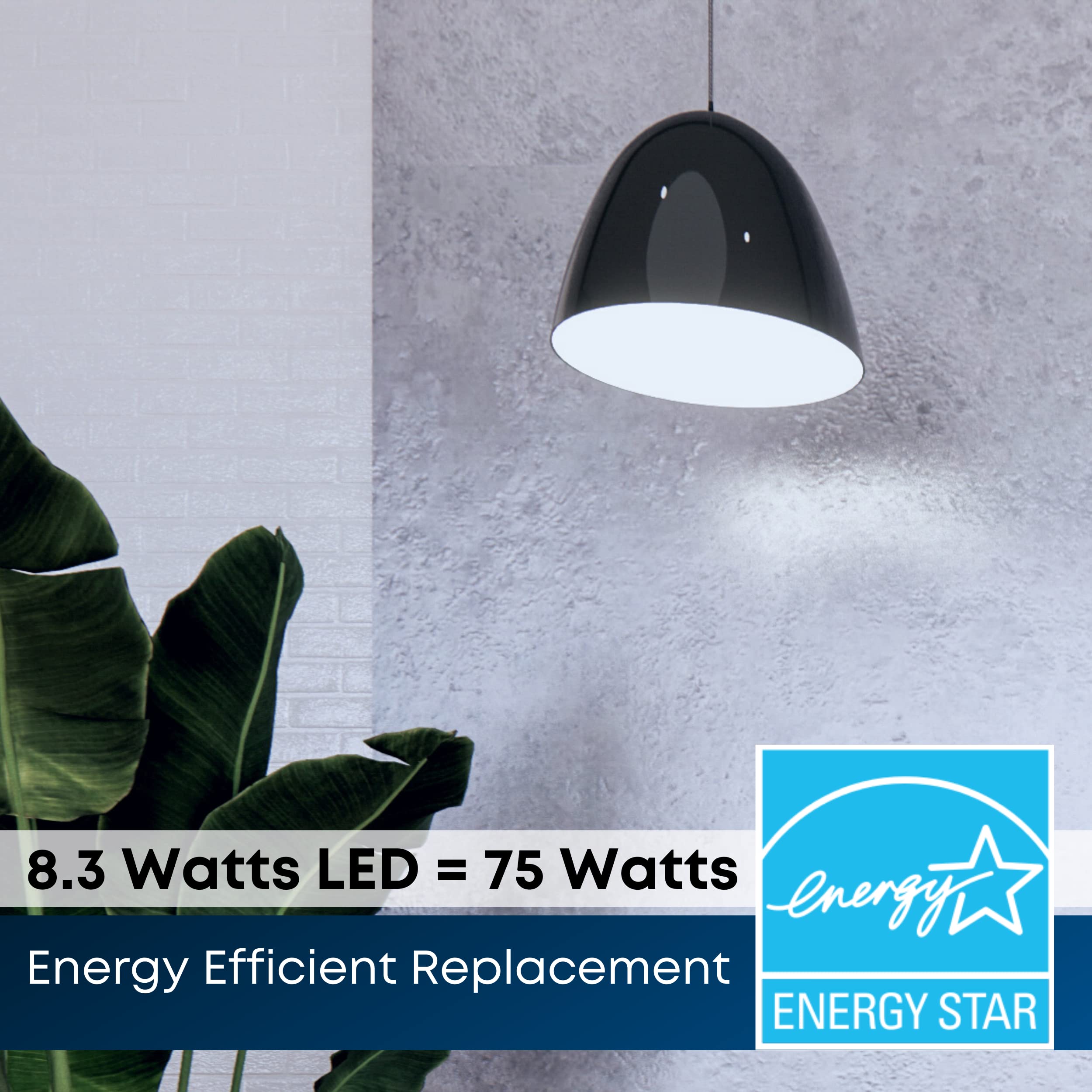 Feit Electric LED PAR30L Bulbs, 75W Equivalent, Dimmable, 3000K Bright White, 750 Lumens, 22 Year Lifetime, E26 Base, PAR30 Flood Lights, Spotlight Bulb,Weatherproof, 2 Pack, PAR30LDM/930CA/2