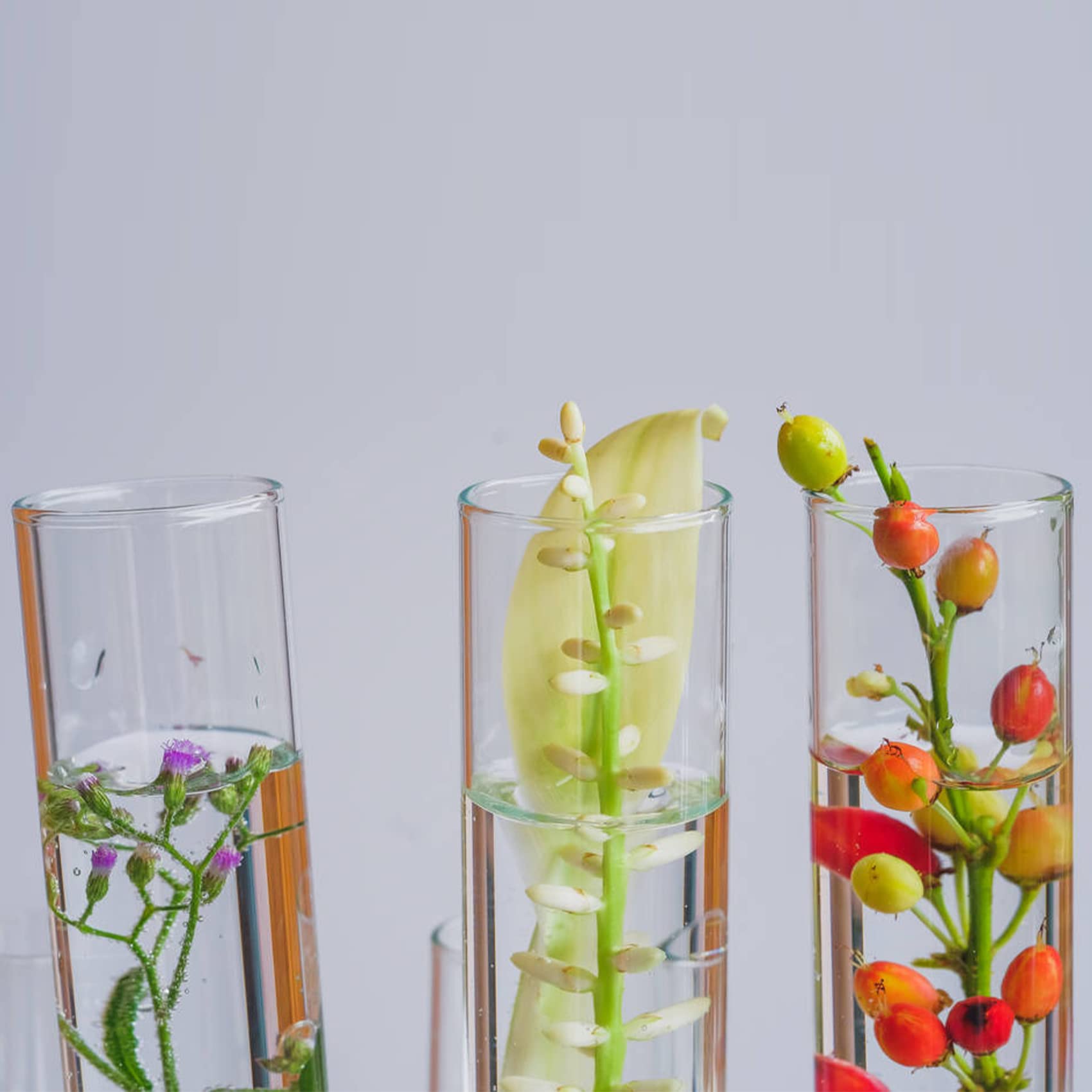 BTSD-home 30pcs 45ml Glass Test Tubes 25×120mm Round Bottom Test Tubes with Cork and Brush for Scientific Experiments Candy Storage and Party Decorations