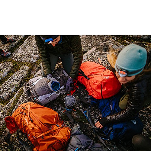 Gregory Mountain Products Men's Baltoro 75 Backpacking Pack, Ferrous Orange, Medium