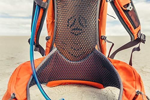 Gregory Mountain Products Juno 30 H2O Hydration Backpack Laguna Blue, Plus Size