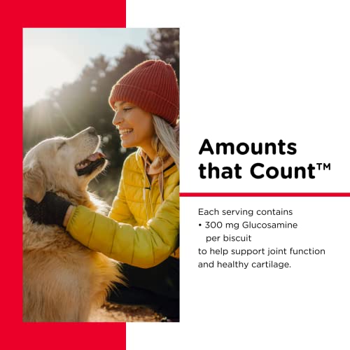 Nutri-Vet Hip & Joint Biscuits for Dogs - Tasty Dog Glucosamine Treat & Dog Joint Supplement - Large Sized Biscuit with 300mg Glucosamine - 6 lb