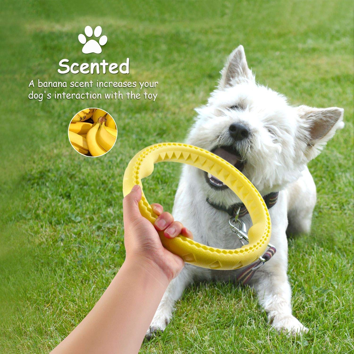 Fluffy Paws Dog Chewing Ring - Soft Rubber Ring Dental Chewing Teething Biting Chasing Training Toy for Small and Medium Dog Puppy - 10", Yellow