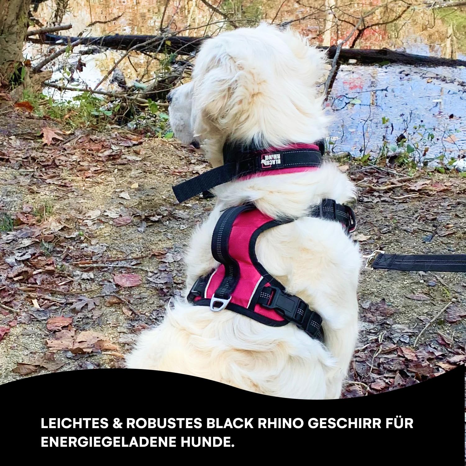 Black Rhino - The Comfort Dog Harness with Mesh Padded Vest for Small - Large Breeds | Adjustable | Reflective | 2 Leash Attachments on Chest & Back - Neoprene Padded Training Handle (Medium, Red/Bl)
