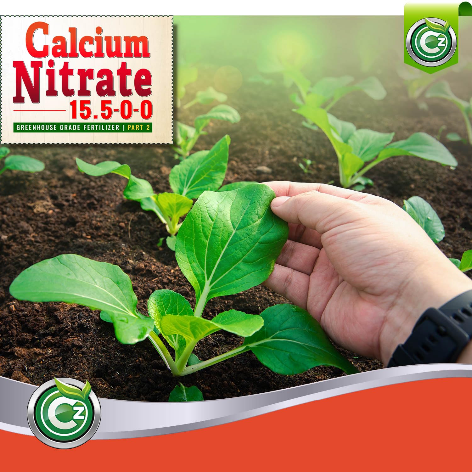 Calcium Nitrate 15.5-0-0 Fertilizer - Made in USA - 5LB Greenhouse Grade Plant Food for Hydroponics, Plants & Gardens β Fruit, Vegetables. Blossom End Rot Tomatoes