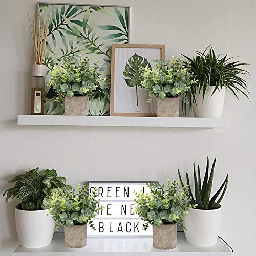 Flojery Mini Potted Plants Artificial Eucalyptus Boxwood Rosemary Faux Herbs Small House Plants 8.3"-9" Tall for Indoor Greenery Tabletop Décor Centerpiece (Sprayed Eucalyptus)