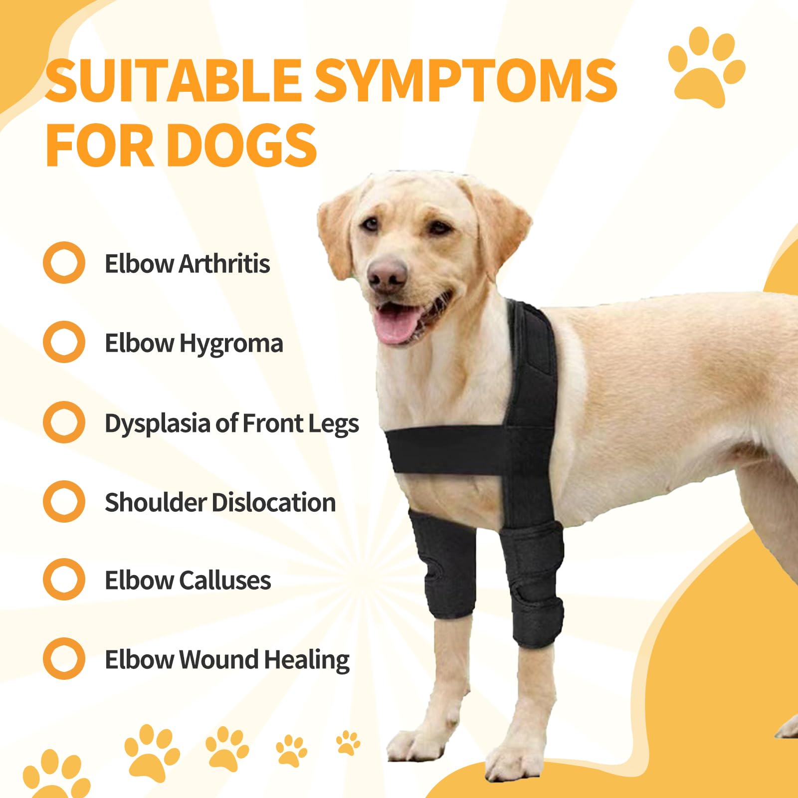 Dog Knee Brace for ACL - Luxating Patella Ligament Injury Hip Support and Recovery - Knee Braces for Dogs - Dog Elbow Protector(L)