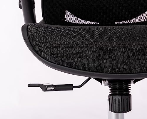 Office Chair, High Back Ergonomic Desk Chair, Breathable Mesh Desk Chair with Adjustable Lumbar Support and Headrest, Swivel Task Chair with Armrests, Executive Chair for Home Office (Black)