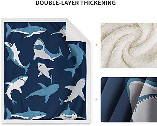 Jekeno Cartoon Shark Sherpa Blanket Blue Soft Warm Print Throw Blanket for Kids Adult Office Gift 50"x60"