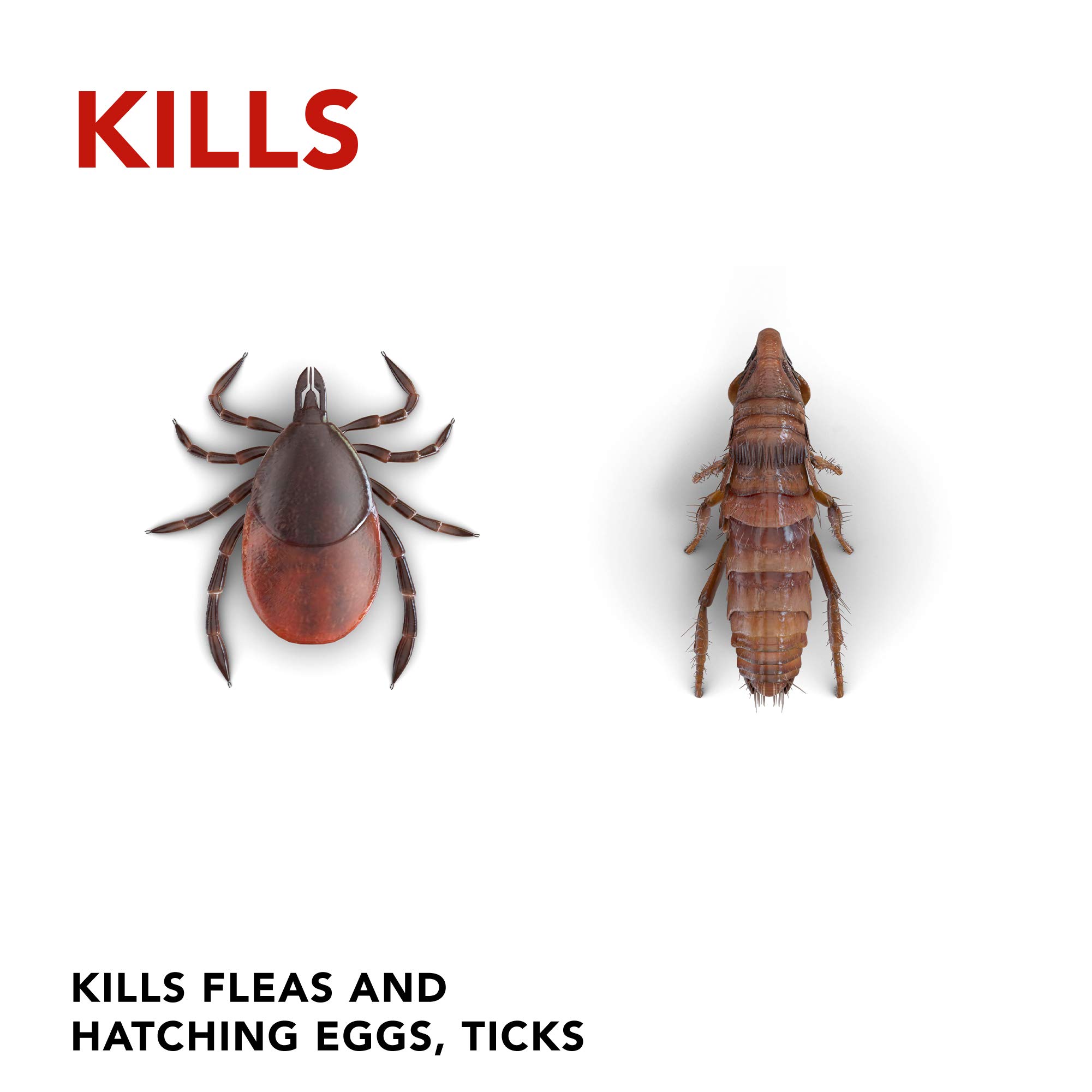Raid Flea Killer Carpet & Room Spray, Kills hatching eggs for up to 4 months, 16 Oz