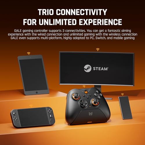 BIGBIG WON PC Controllers, Wireless Controllers