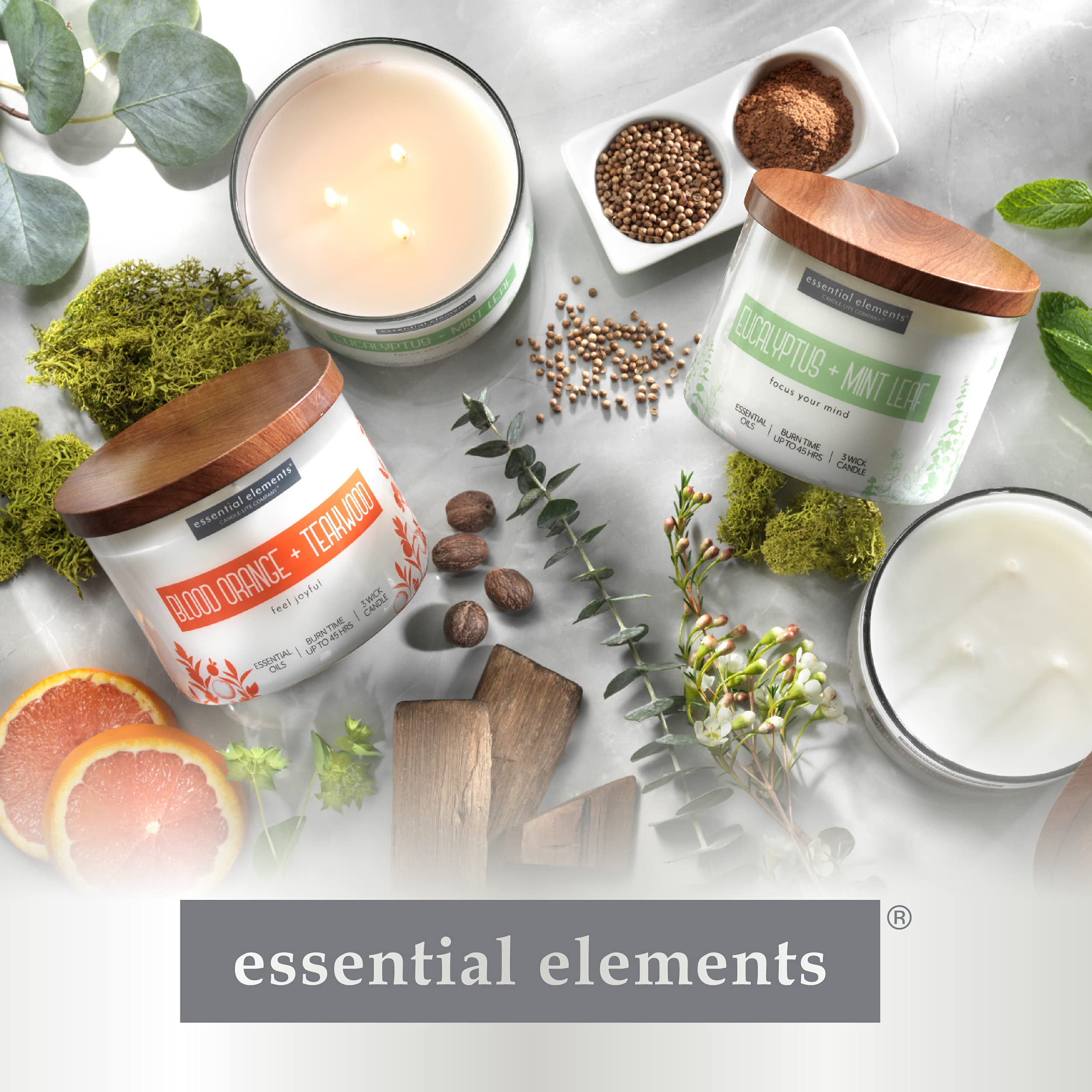 Essential Elements by Candle-lite Scented Candles Blood Orange & Teakwood Fragrance, One 9 oz. Single-Wick Aromatherapy Candle with 50 Hours of Burn Time, Off-White Color