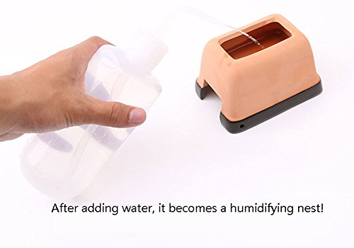 OMEM Reptiles Hideout Humidification Cave with Basin for Gecko (Large)