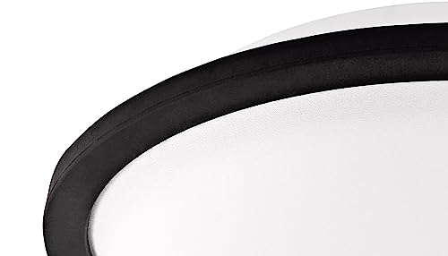 Nino Percussion Mini Melody Steel Tongue Drum with Mallets — for All Ages — Easily Create Songs, for Classroom Music, 2-Year Warranty (NINO980WH)