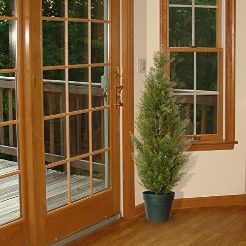 National Tree Company Artificial Shrub | Includes Pot Base | Arborvitae - 36 Inch