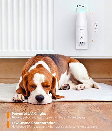 Plug In Air Purifiers for Home | UV Light Sanitation for Rooms | Ozone Deodorizer for Odor from Pets, Diapers, Room Freshener | Auto Mode 1h/2h/4h Timer