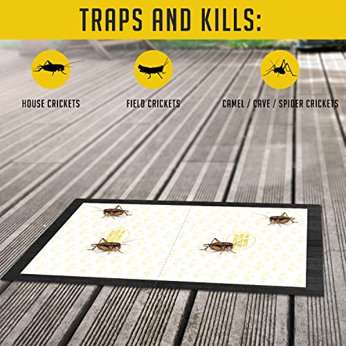 Cricket Traps Indoor (12 Traps) Extra Large Bug Sticky Traps - Non-Toxic Extra Sticky Glue Traps for Bugs - Pre-Baited Fruity Scent Crickets Bug Trap Indoor - Insect Glue Traps for Bugs - Trap a Pest
