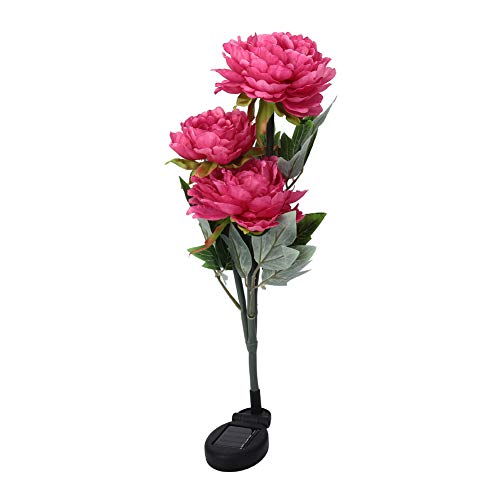 Ruiqas Solar Flower Light LED 3 Heads Simulation Peony Rose Flower Light for Home Garden Lawn Decor