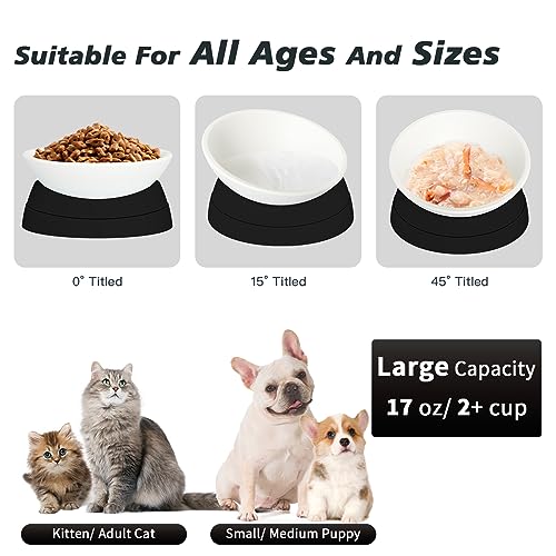Hi, Ravitat Cat Bowls Elevated Cat Food Bowl Adjustable Cat Dish Anti-Slip and Anti-Noise Raised Cat Bowl Protecting Pet’s Spine Thickened Plastic Bowl Suitable for Indoor Cats, 17 Oz