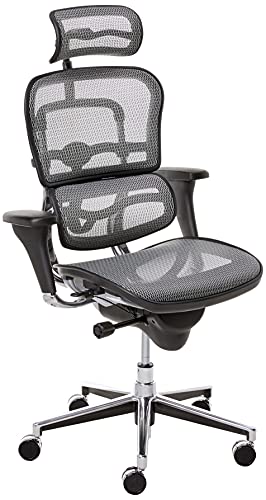 Ergohuman Eurotech ME7ERG GEN2 High Back Mesh Office Chair with Tilt Tension Control, Tilt Lock, Back Angle, Back Height, Synchro Tilt, Seat Height, Seat Depth, and Arm Height Adjustments, Grey