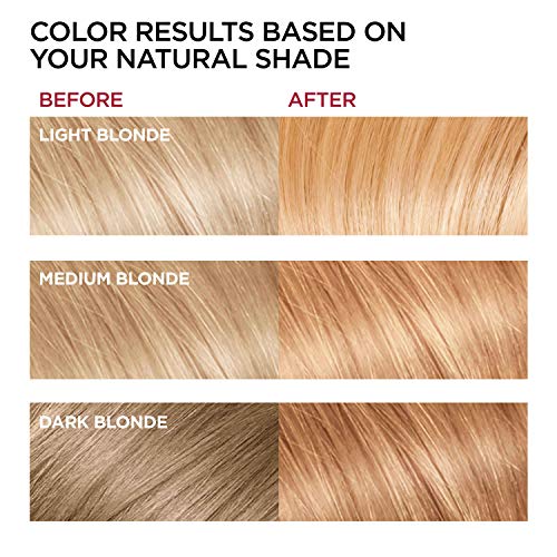 L'Oreal Paris Superior Preference Fade-Defying + Shine Permanent Hair Color, 9GR Light Golden Reddish Blonde, Pack of 1, Hair Dye