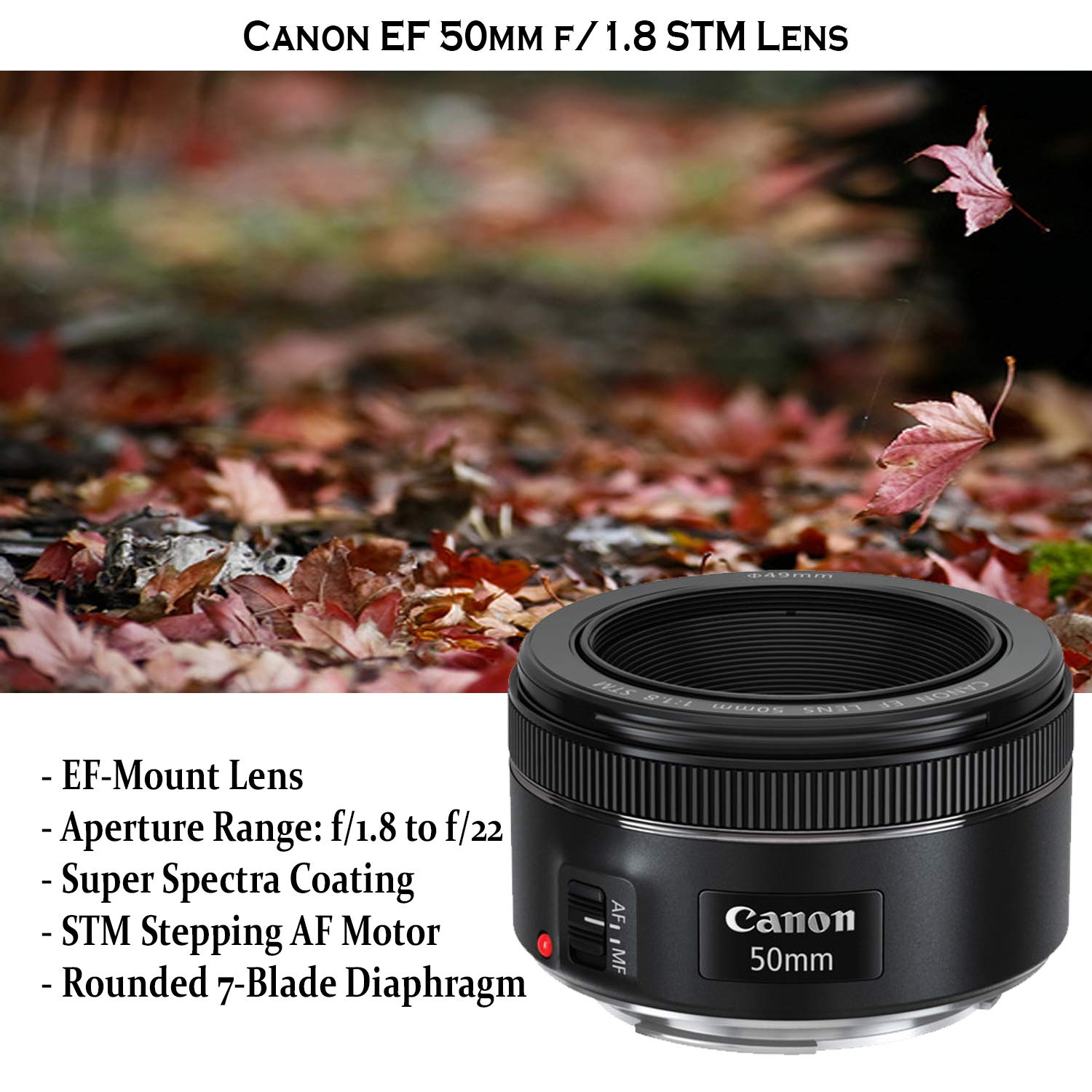 Canon EOS 5D Mark IV DSLR Camera with Canon 75-300mm LensĀ and 50mm Lens + 500mm Preset Telephoto Lens + 64GB Memory + Camera Case + 2 Batteries + Power Battery Grip + Professional Accessory Bundle