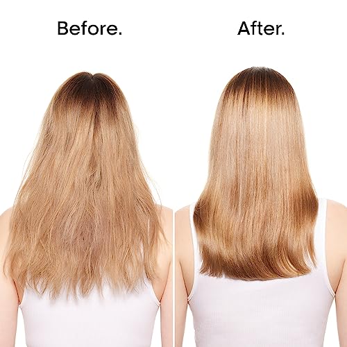L'Oréal Professionnel Absolut Repair Shampoo | Protein Hair Treatment | Repairs Damage & Provides Shine | With Quinoa & Proteins | For Dry, Damaged Hair | 16.9 Fl. Oz.
