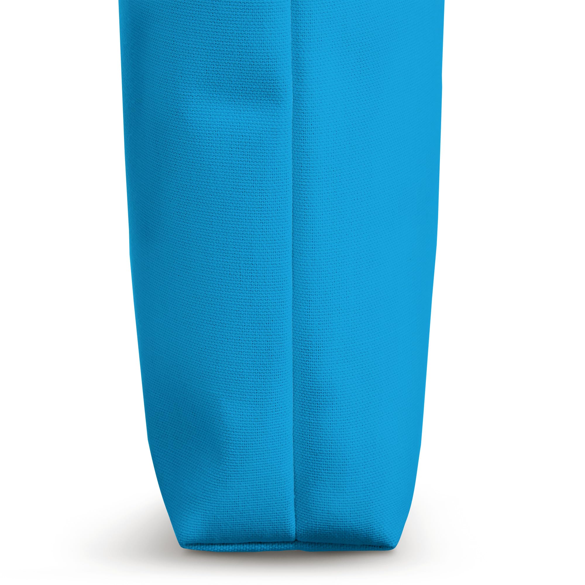 The Year Without a Santa Claus Snow Miser Tote Bag