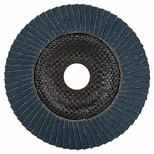 Bosch Professional 2608606717 Flap disc X551, Expert for Metal 125 mm, 22.23 mm, 60, Black/Brown