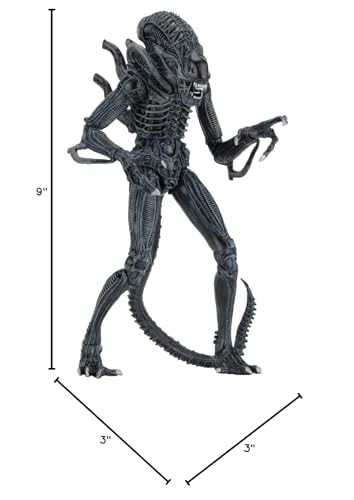 NECA - Alien- 7" Scale Action Figures - Ultimate Warrior - (1986) Blue Alien