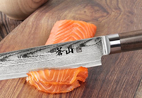 Cangshan J Series 62786 X-7 Steel Sashimi Chef Knife With Walnut Sheath, 10-Inch