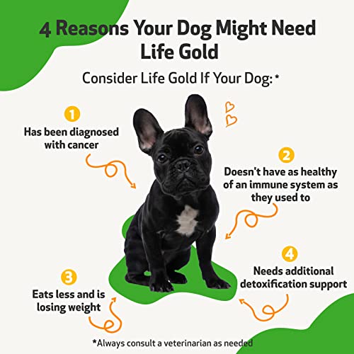 Pet Wellbeing Life Gold for Dogs - Vet-Formulated - Immune Support and Antioxidant Protection - Natural Herbal Supplement 2 oz (59 ml)